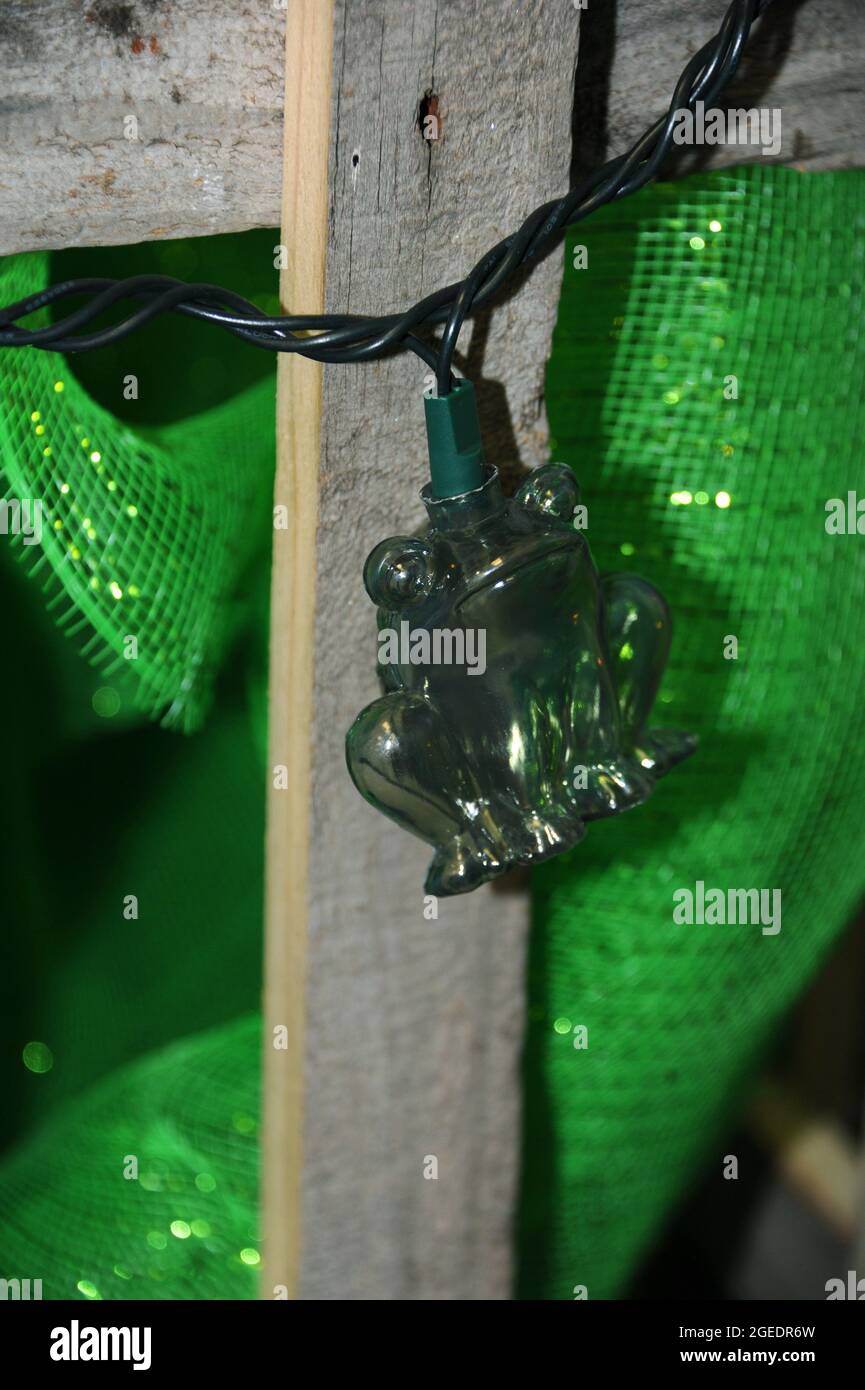 Frog fence hi-res stock photography and images - Alamy