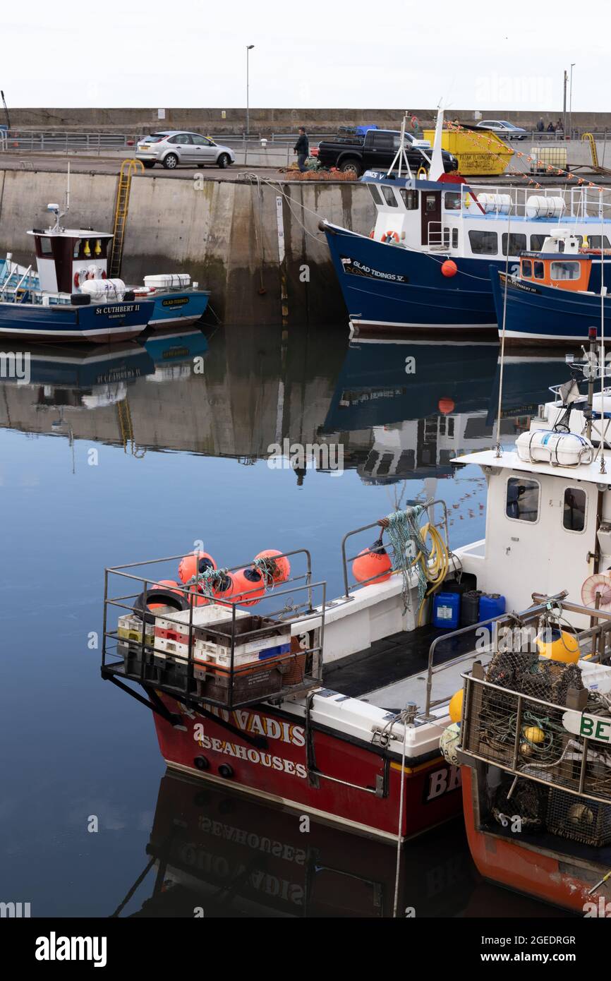 North sunderland harbour hi-res stock photography and images - Alamy