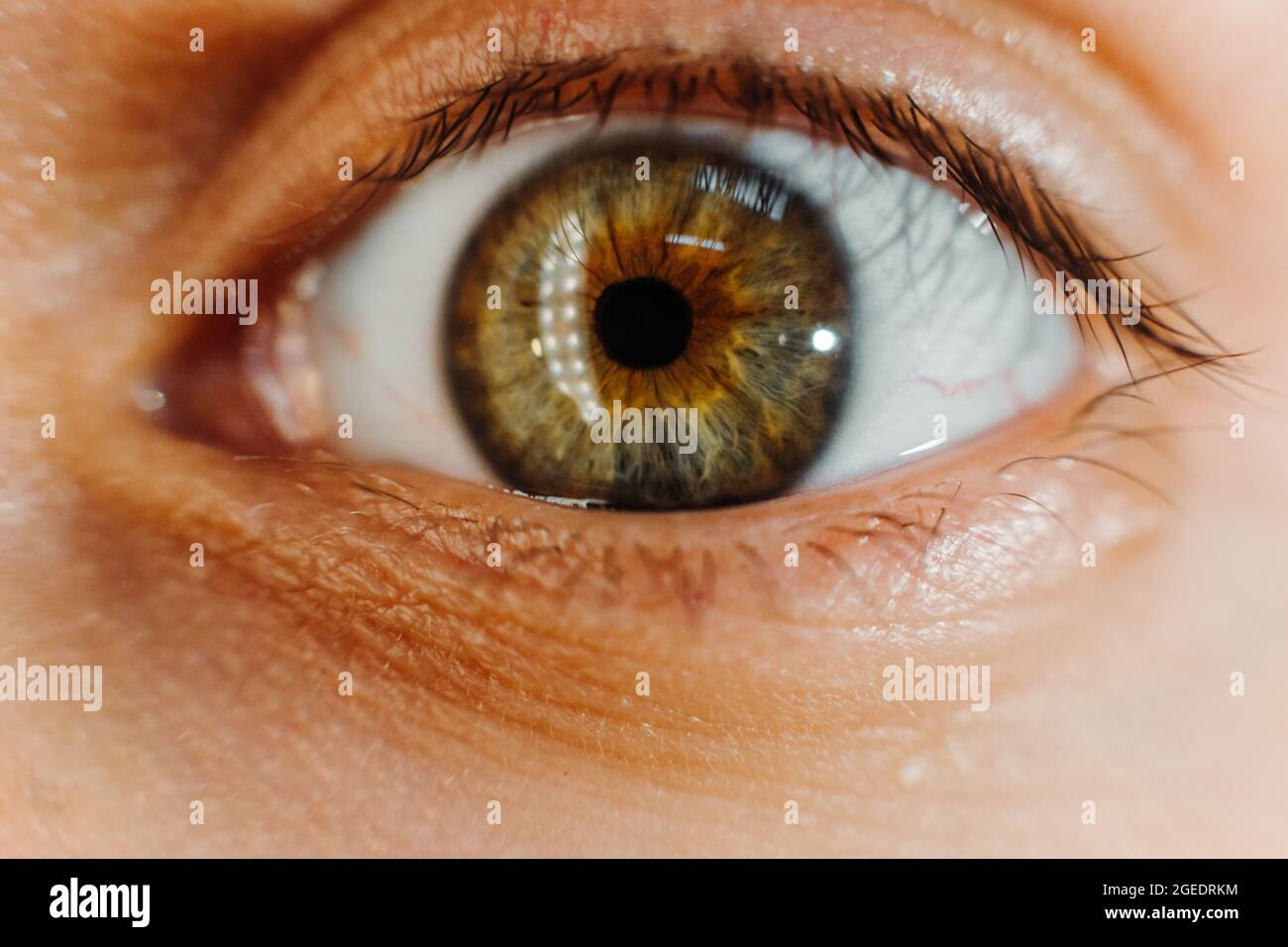 Closeup shot of a wide open eye of a young person Stock Photo - Alamy