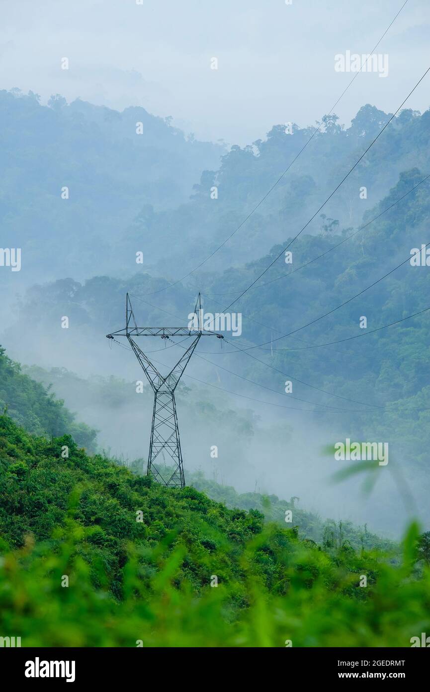 high voltage post in rainy forest with mist near by Stock Photo - Alamy