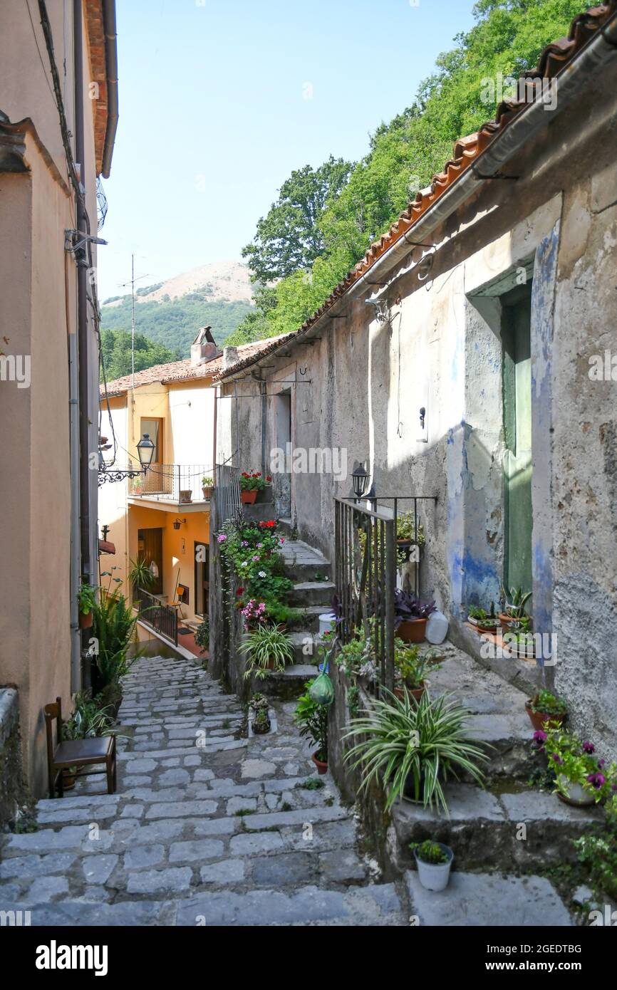 A street in the historic center of Trecchina, a old town in the ...