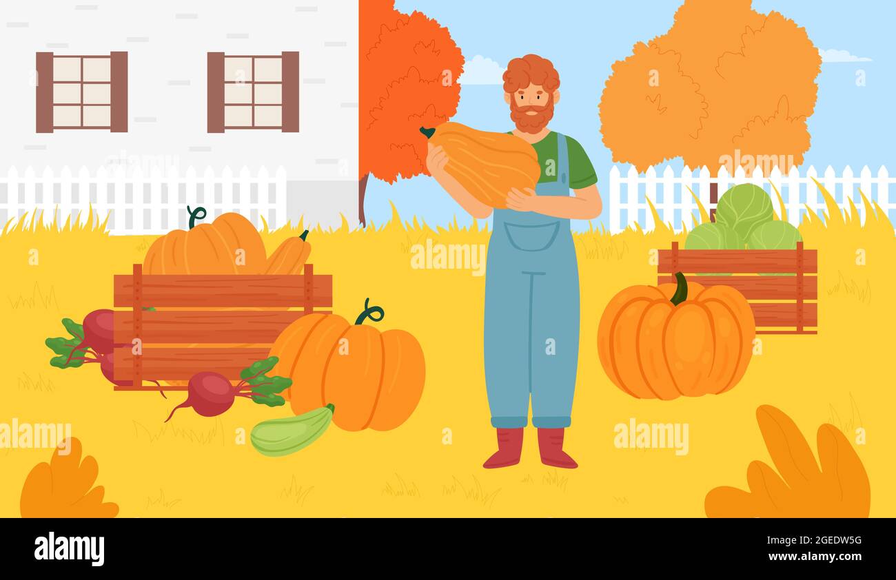 Autumn farm harvest in village vector illustration. Cartoon farmer man ...