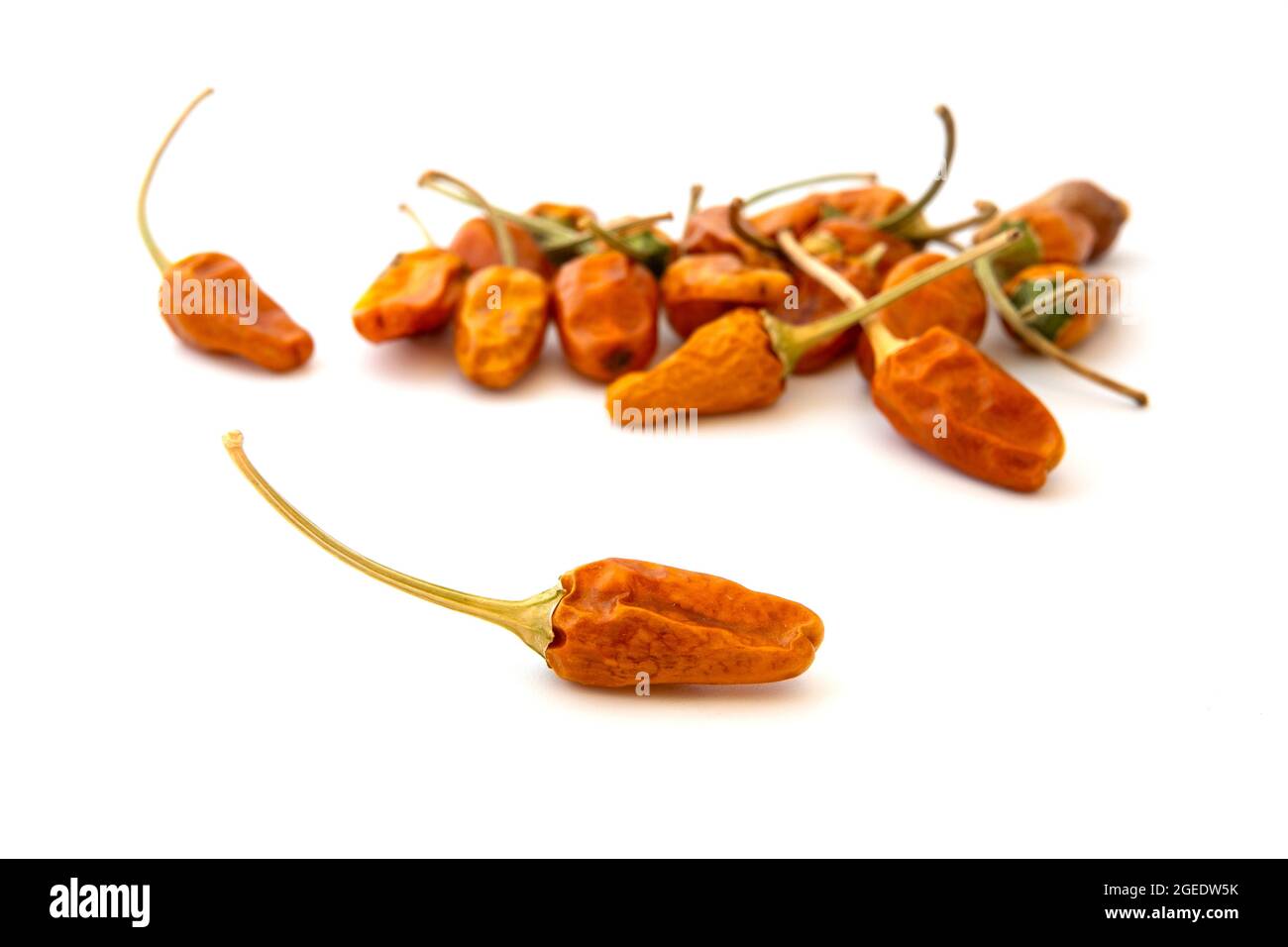 Tabasco Short Yellow (Capsicum Frutescens ) on a white background Stock ...