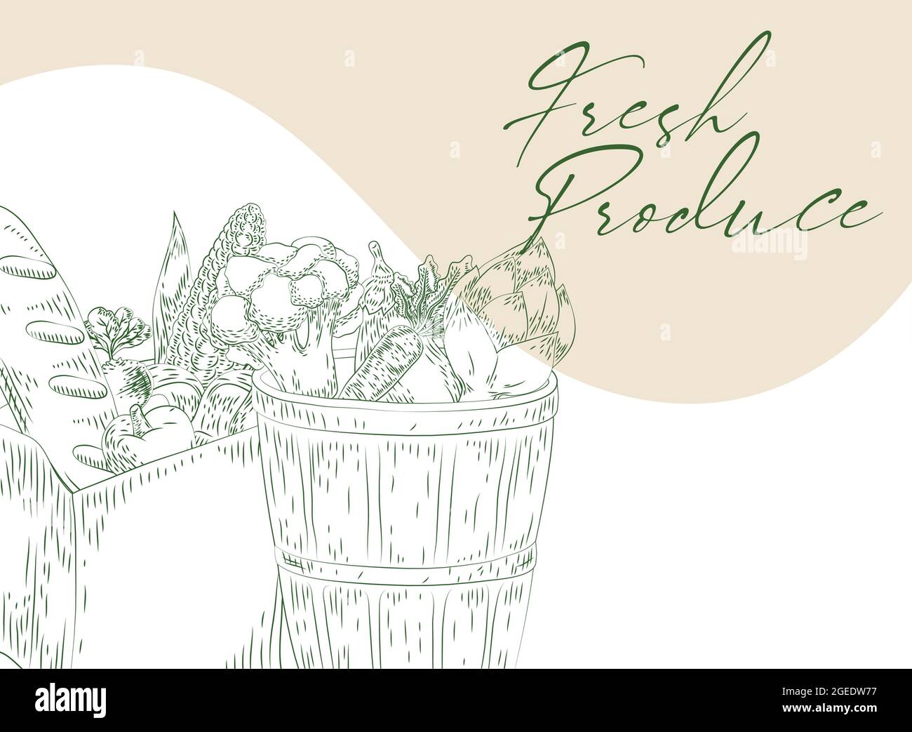 fresh supermarket produce sketch style Stock Vector Image & Art - Alamy