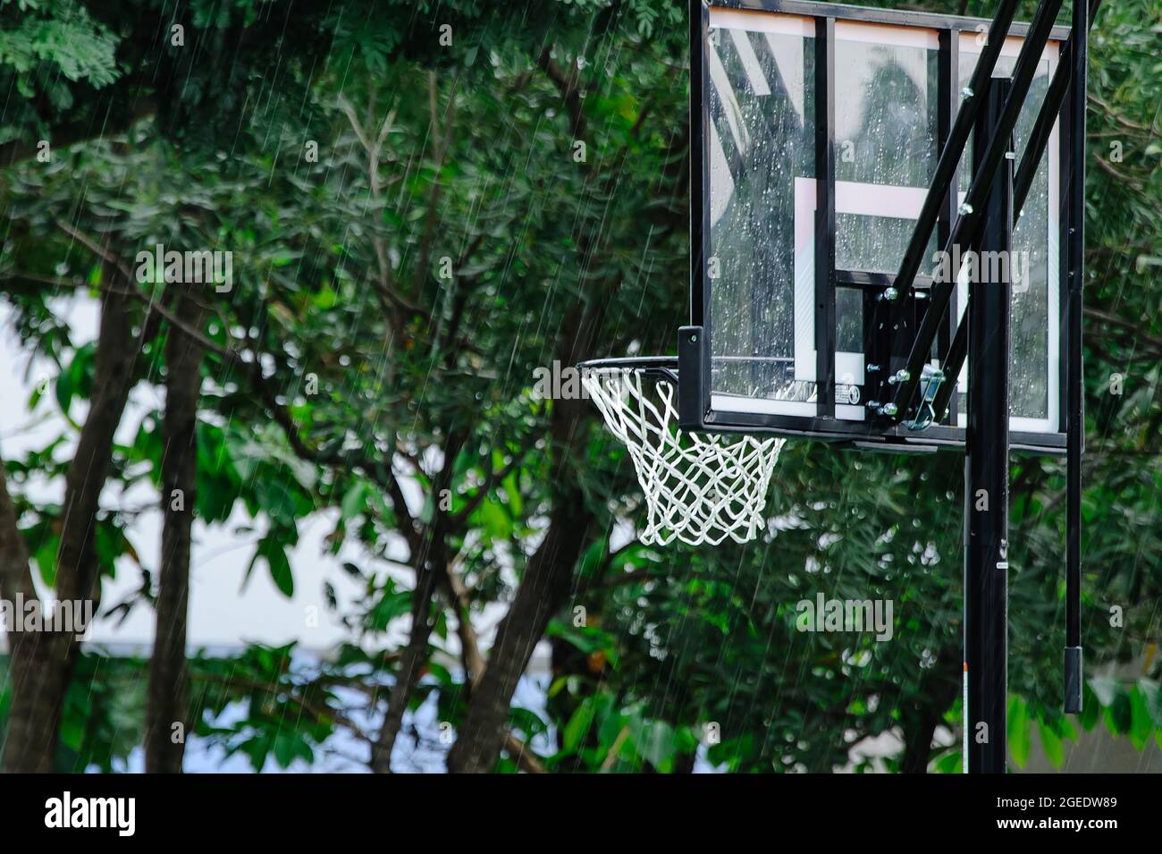 raining in basketball field with green trees in background Stock Photo ...