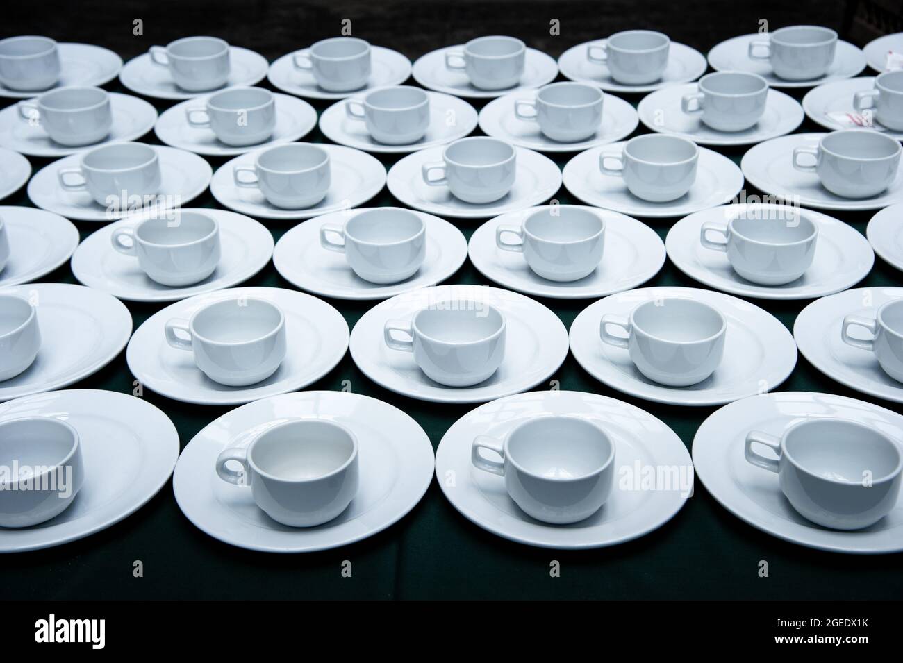 many coffee cup set up for tea break in business meeting conference ...