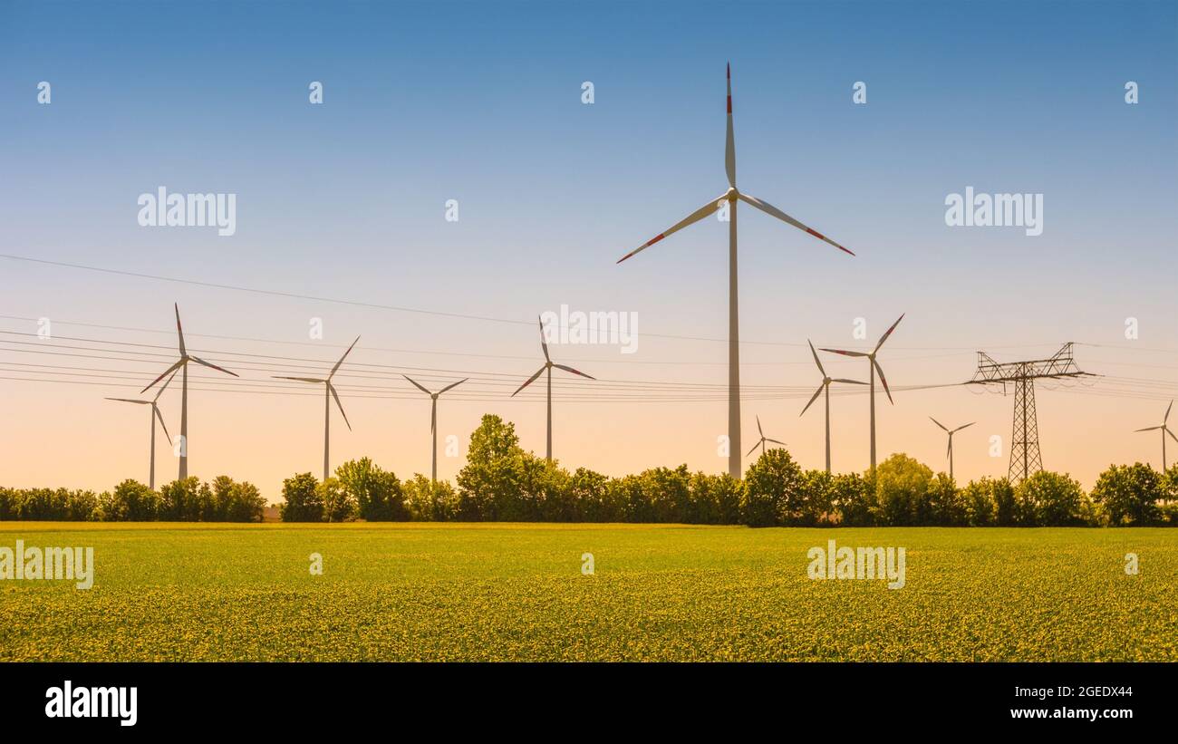 Panoramic view over beautiful farm landscape with grass field, wind ...