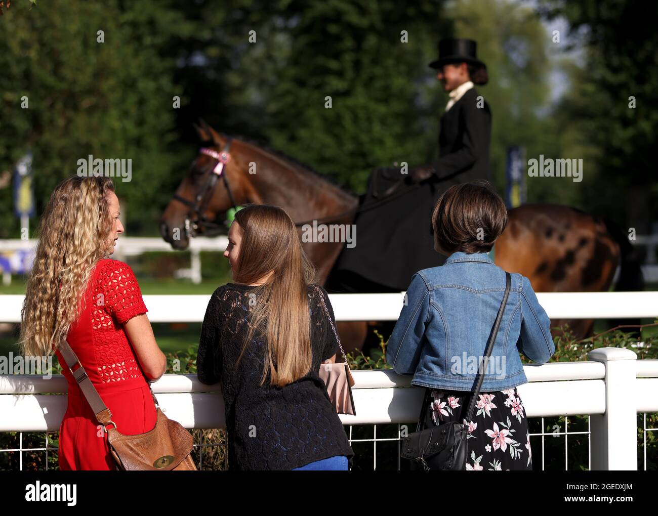 Start windsor racecourse hi-res stock photography and images - Alamy
