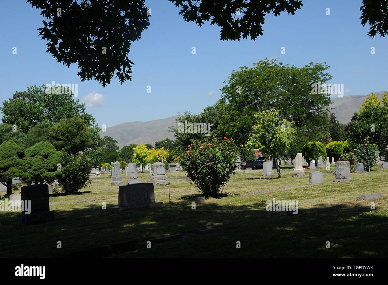 Msonic hi-res stock photography and images - Alamy
