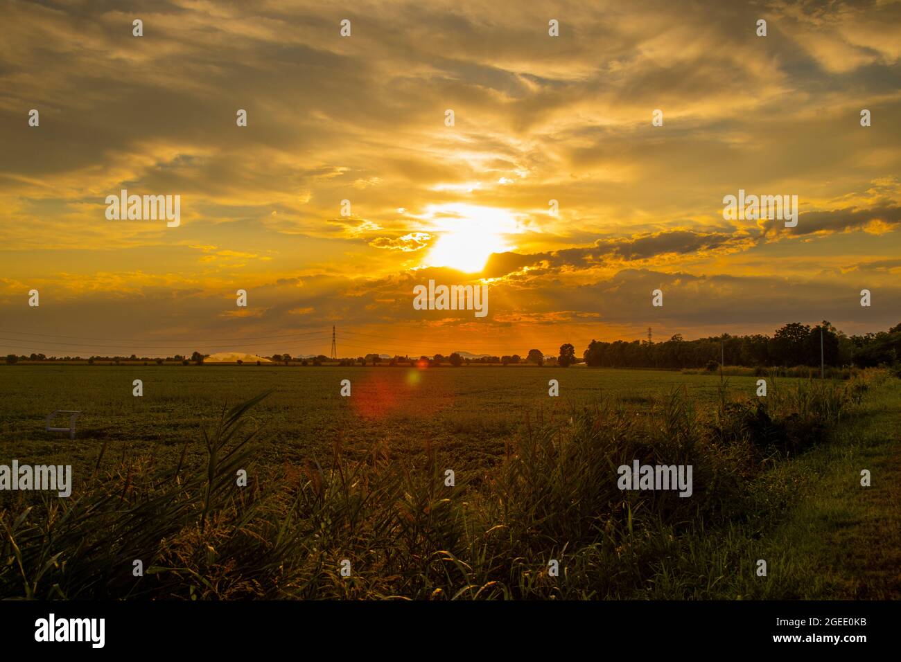 Summer flat hi-res stock photography and images - Alamy