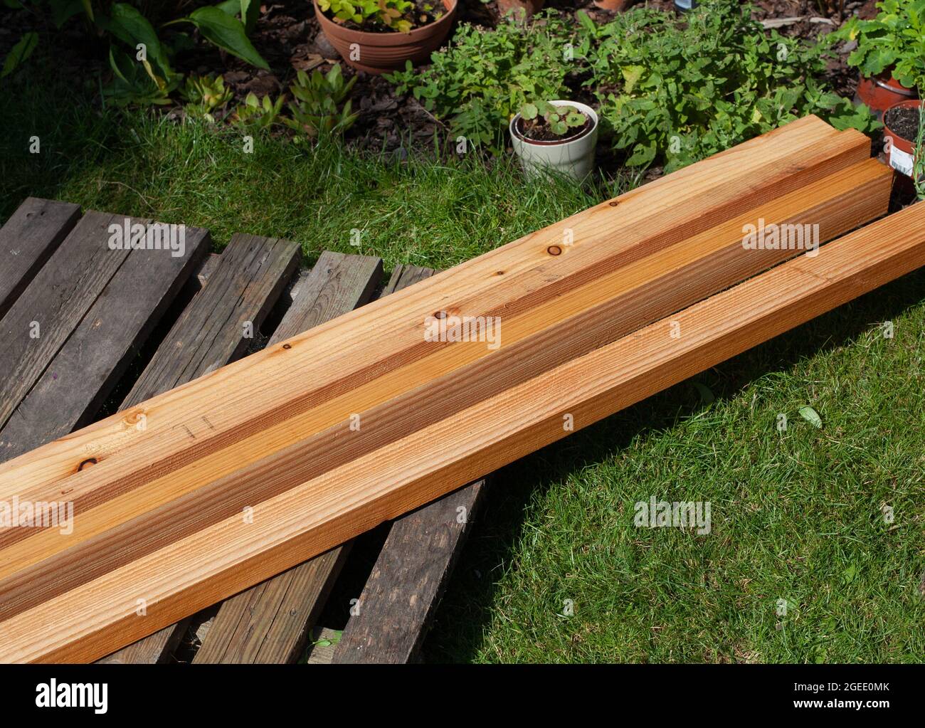 Building material plants hi-res stock photography and images - Alamy