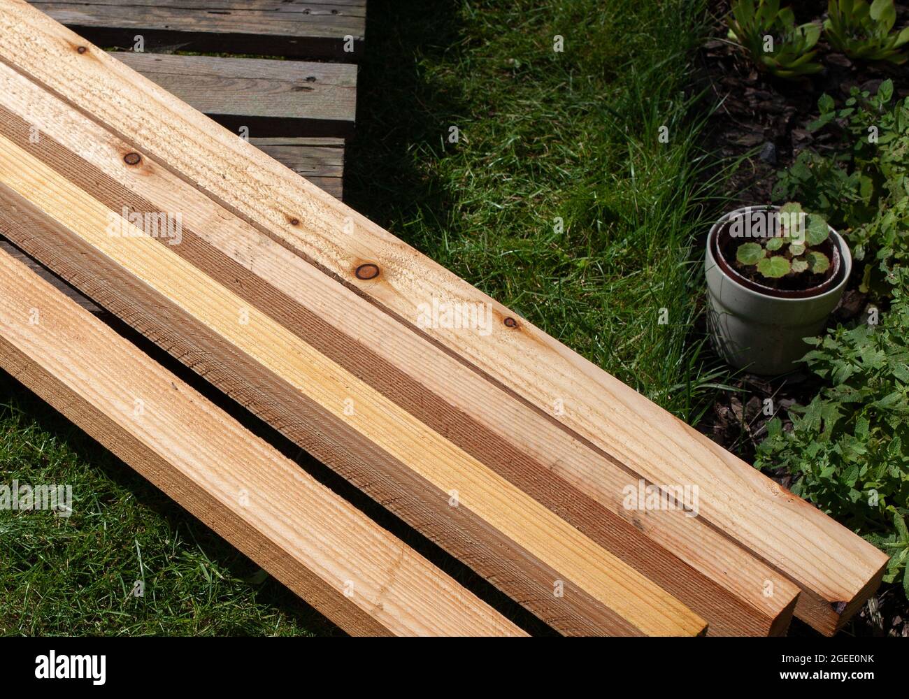 Wooden planks for construction lying on the grass next to a plant Stock ...