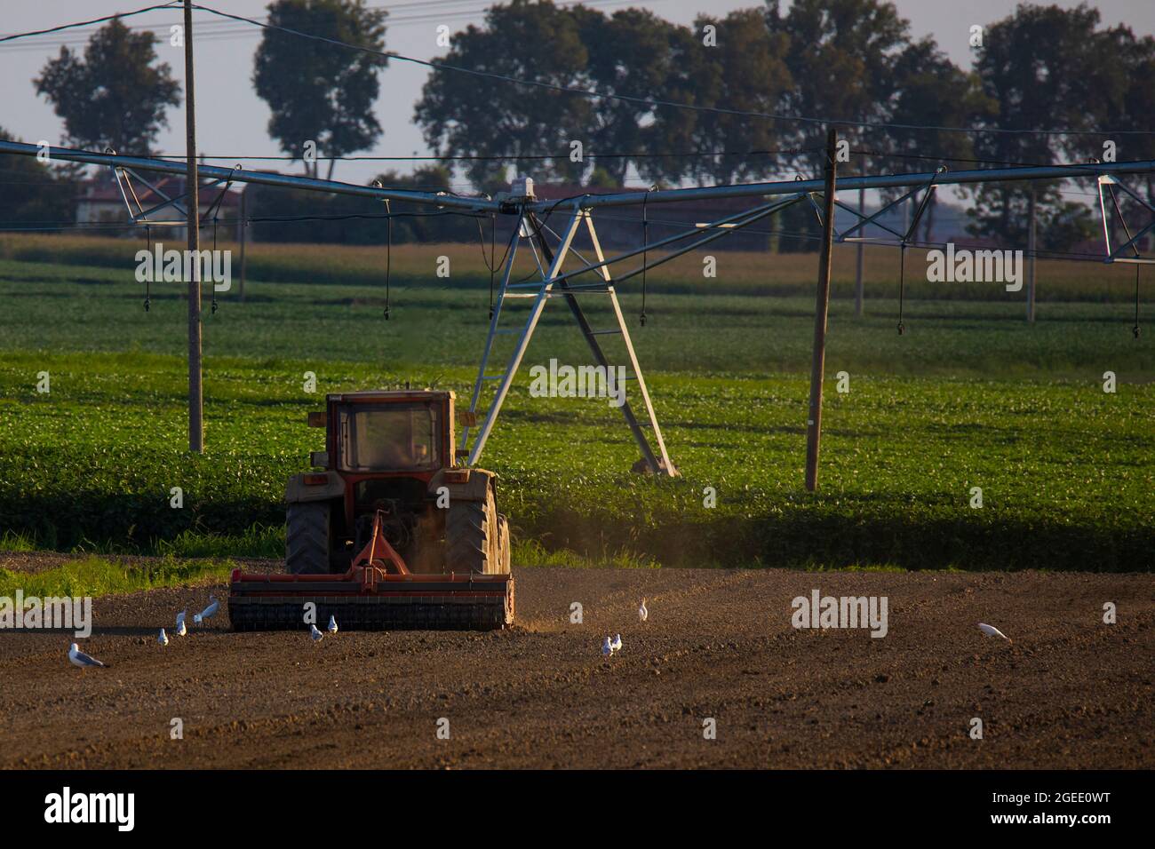 agricultural work in the field. tractor plows the land in summer Stock ...
