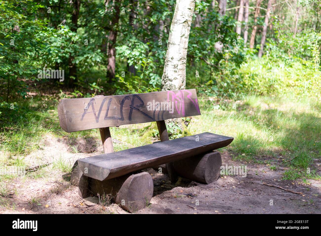 Wooden bench in the forest in summer Stock Photo - Alamy
