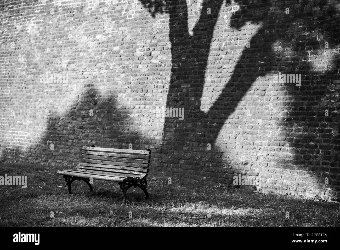 Grayscale shot of a bench under a bit tree shadow next to a high wall ...