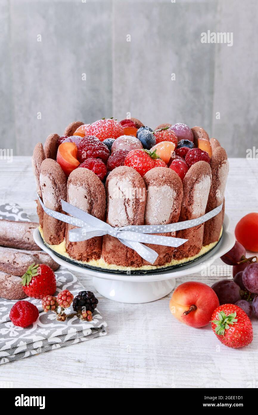 French charlotte cake with summer fruits. Party dessert Stock Photo - Alamy