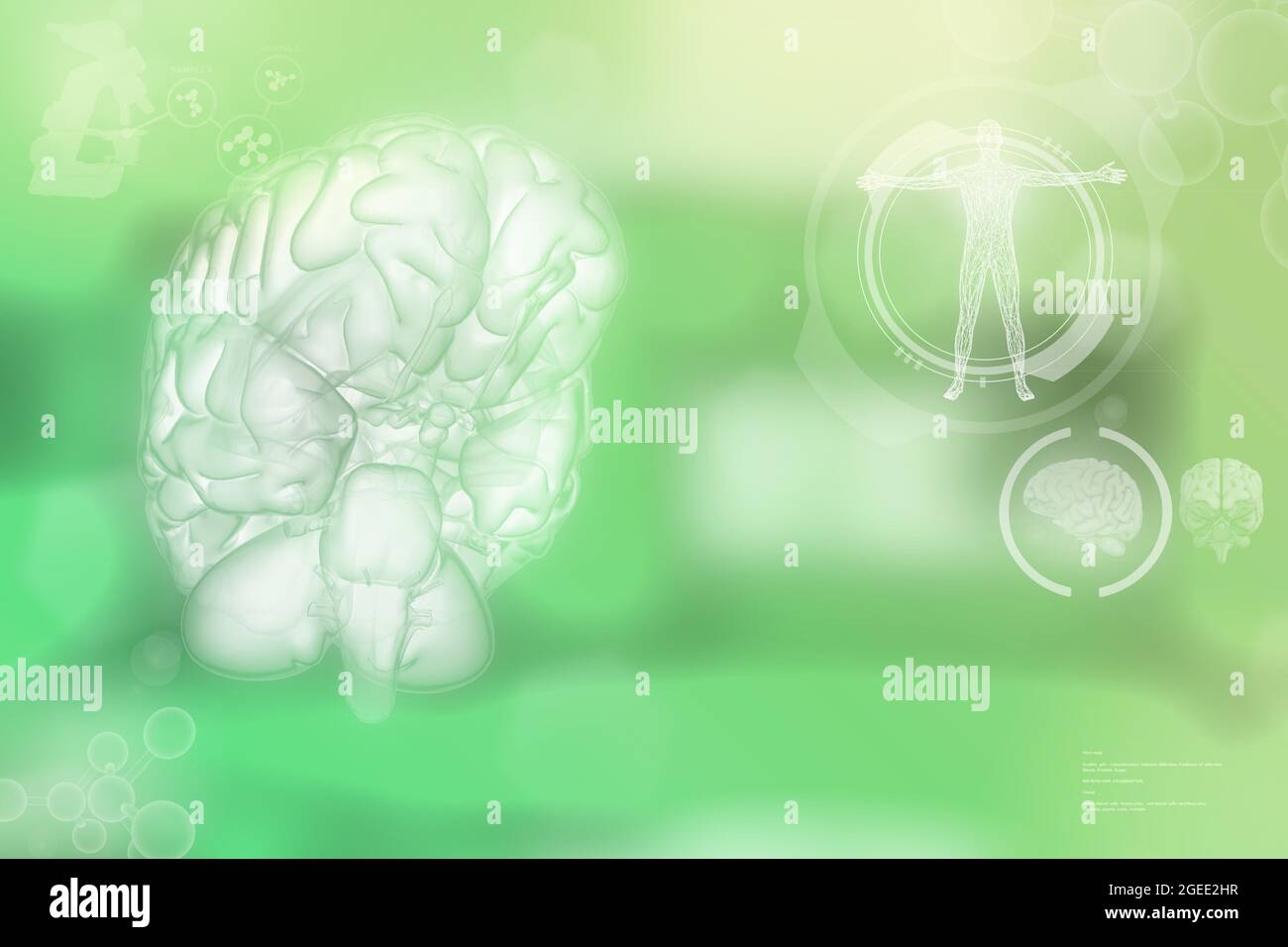 Medical 3D illustration - human brain, wisdom discovery concept ...