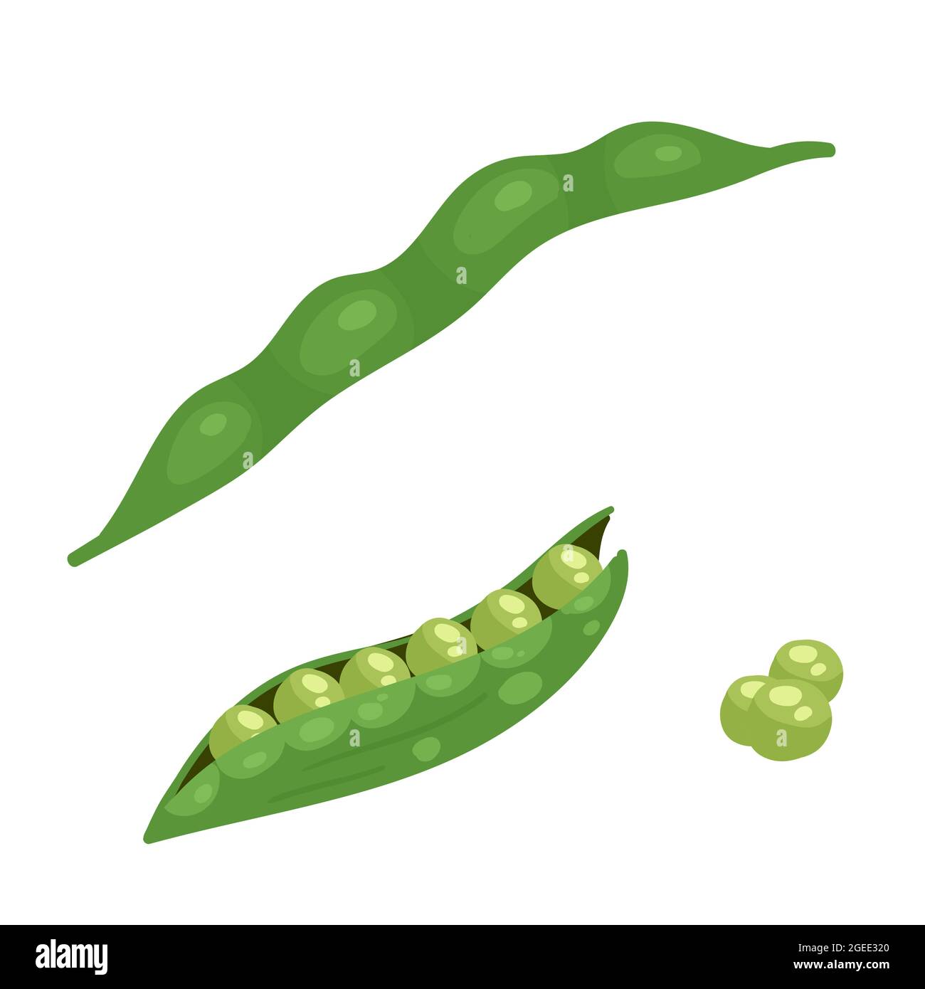 Peas vegetable fresh veg product, organic farm food production vector ...