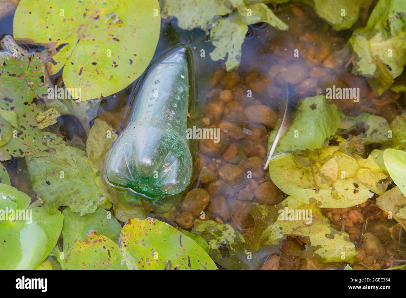 Polluting nature it's dangerous for the environment Stock Photo - Alamy