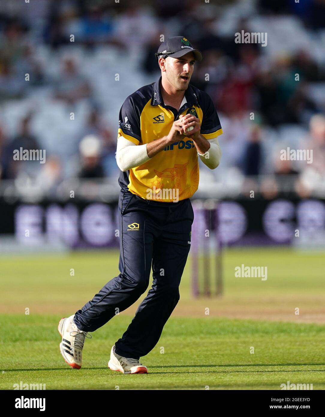 Steven reingold steven reingold hi-res stock photography and images - Alamy