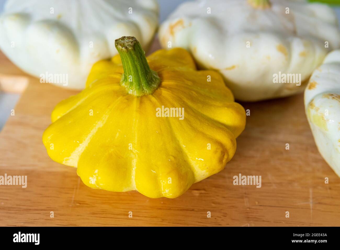 Fresh harvest pattypan squash, yellow squash and pattison Stock Photo ...