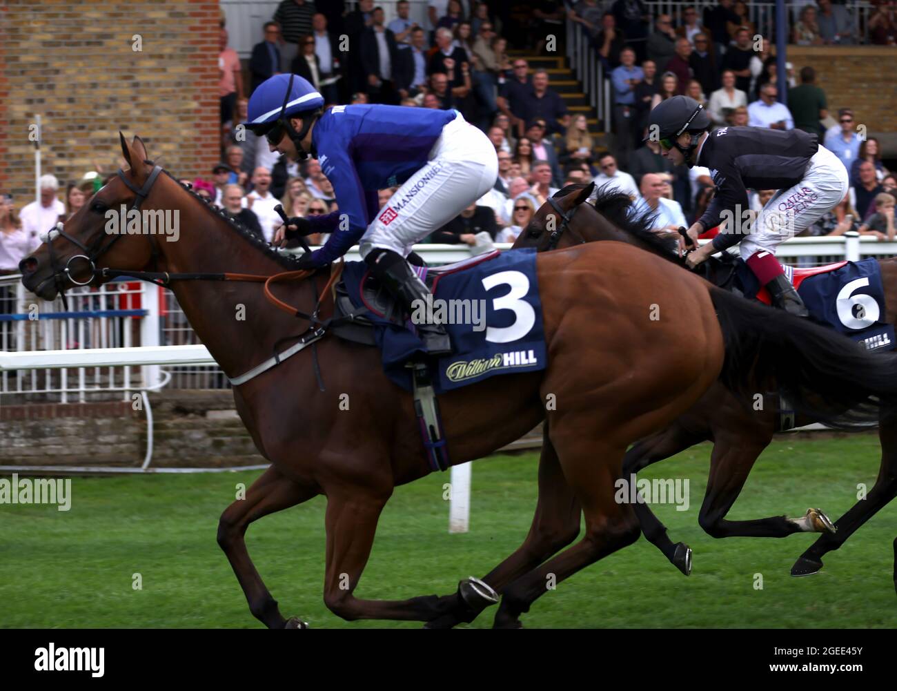 Hayley turner racing league hi-res stock photography and images - Alamy