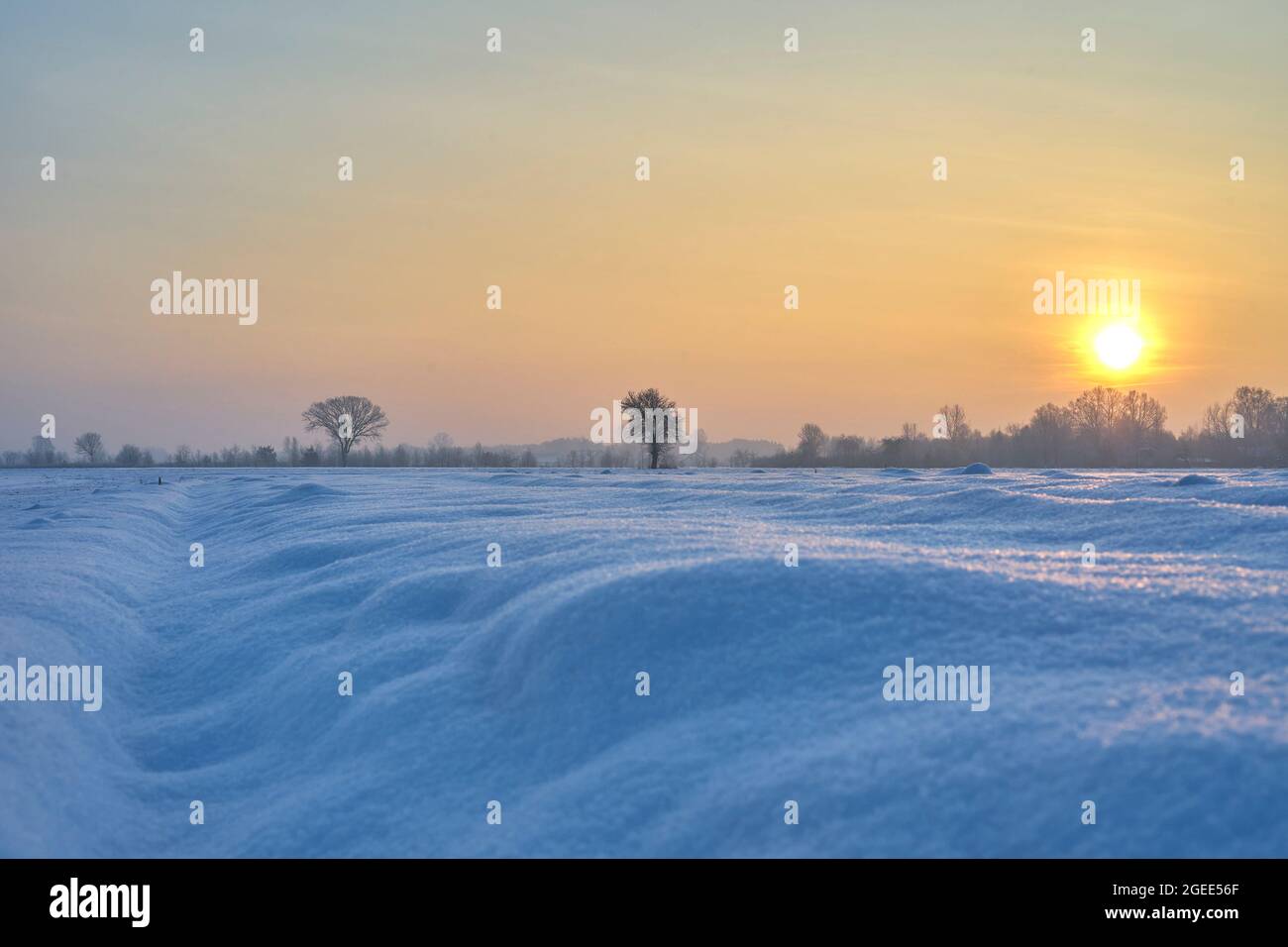 Snowy frozen field in the rays of the setting winter sun Stock Photo ...