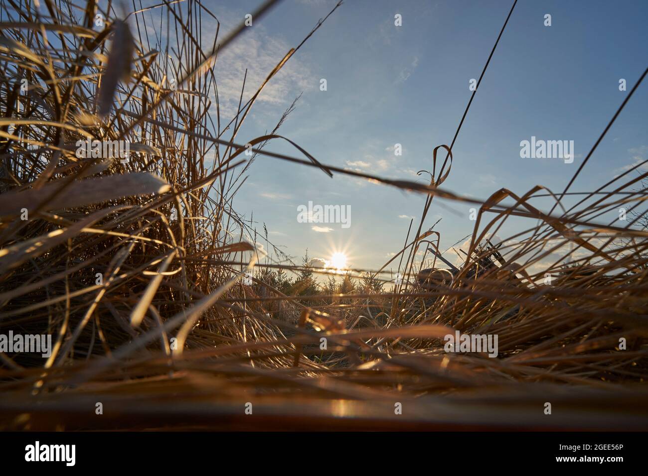 Ground level view rural hi-res stock photography and images - Alamy
