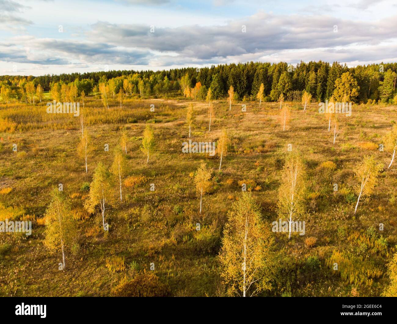 Leisure park near vilnius hi-res stock photography and images - Alamy