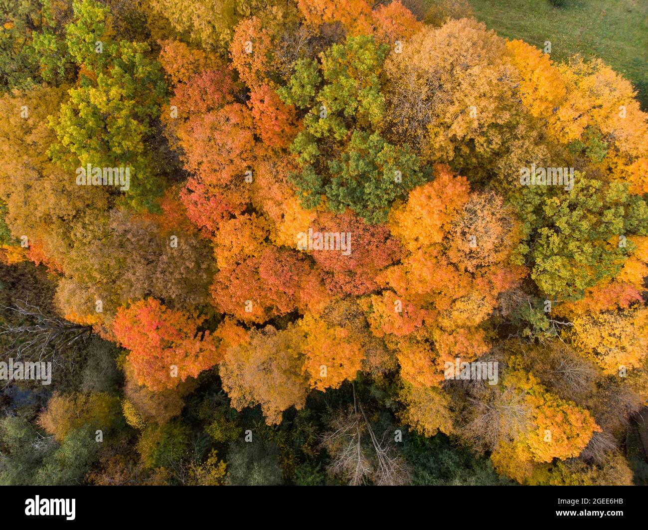 Vilnius lith hi-res stock photography and images - Alamy
