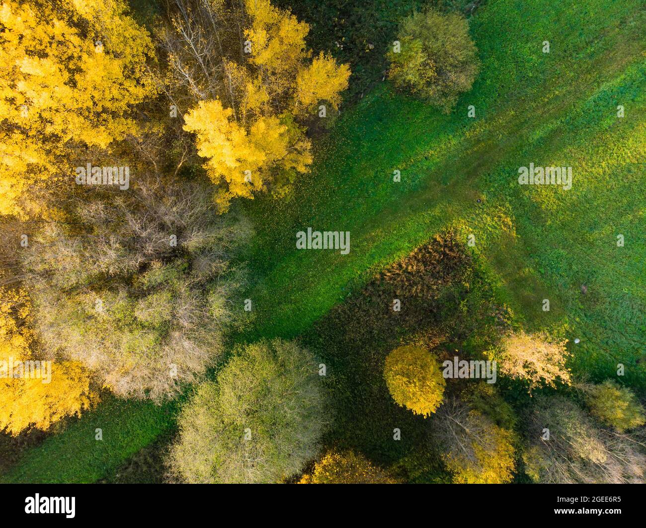 Vilnius lith hi-res stock photography and images - Alamy