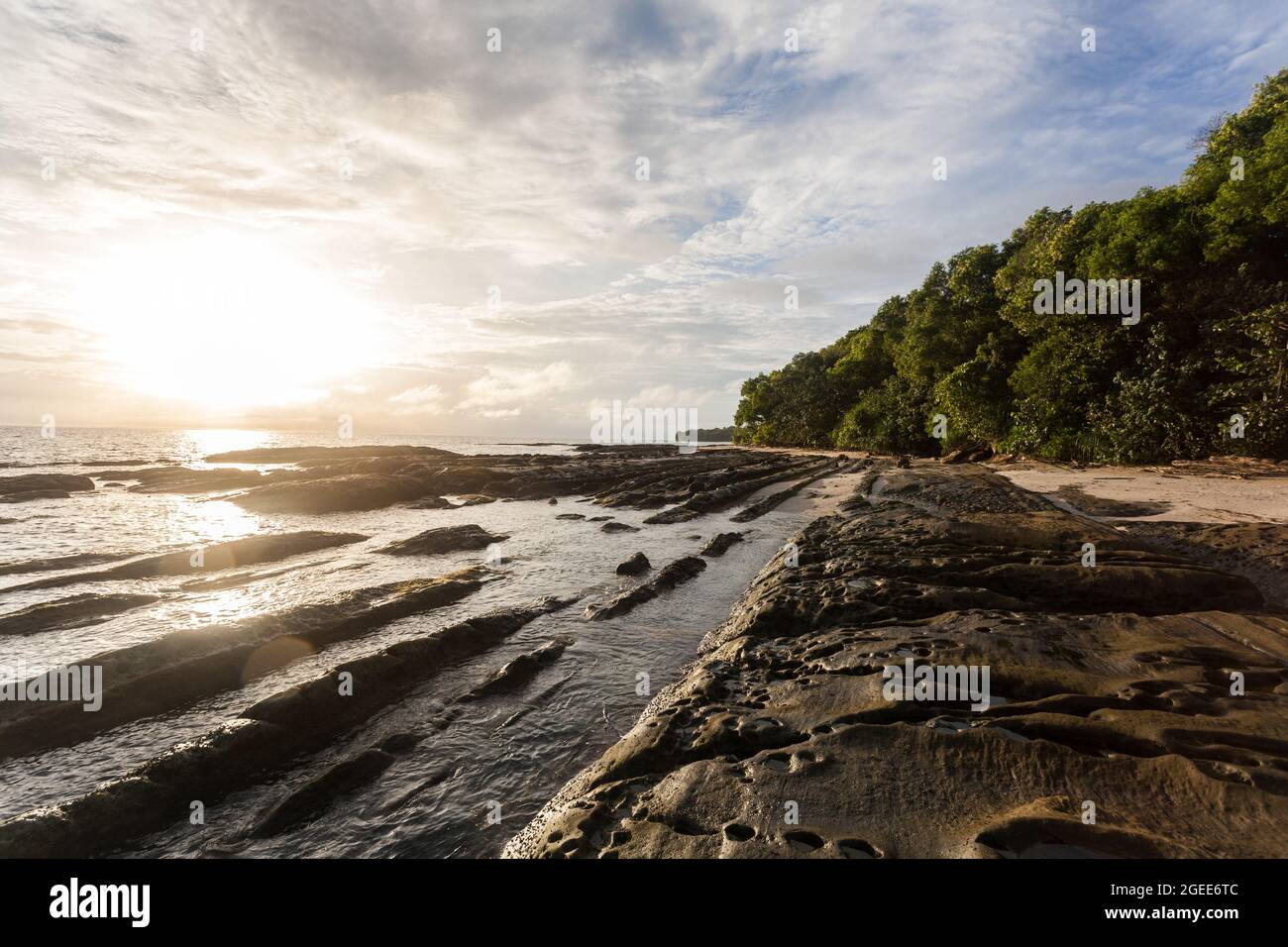 abstract rock shapes on the stony coast of borneo - malaysia Stock ...