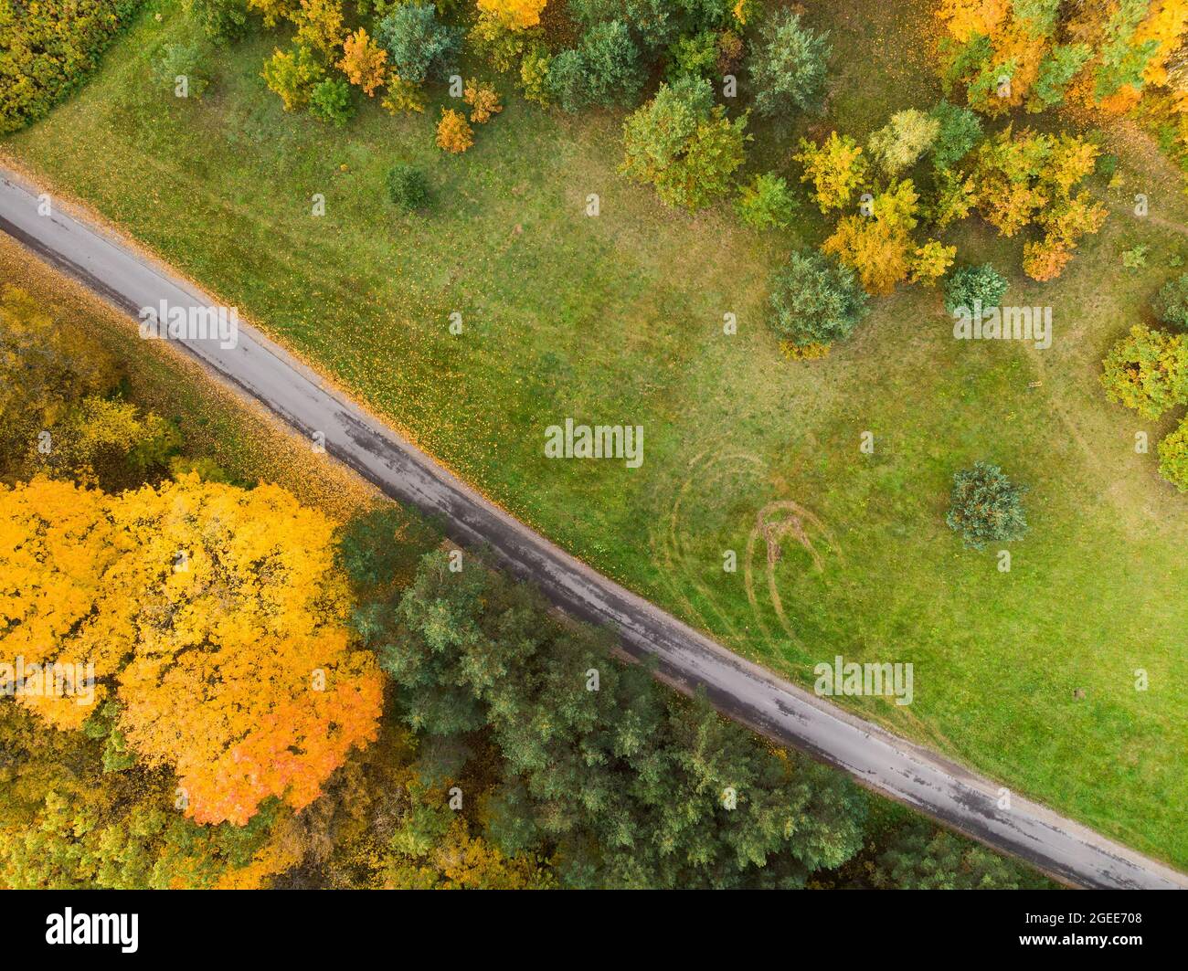 Aerial top down view of autumn forest with green and yellow trees ...
