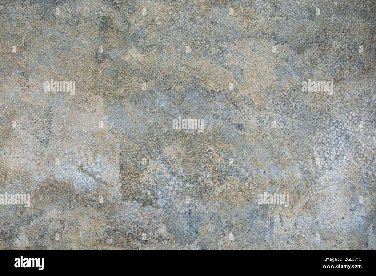 Plastered grey wall surface as a seamless background Stock Photo - Alamy