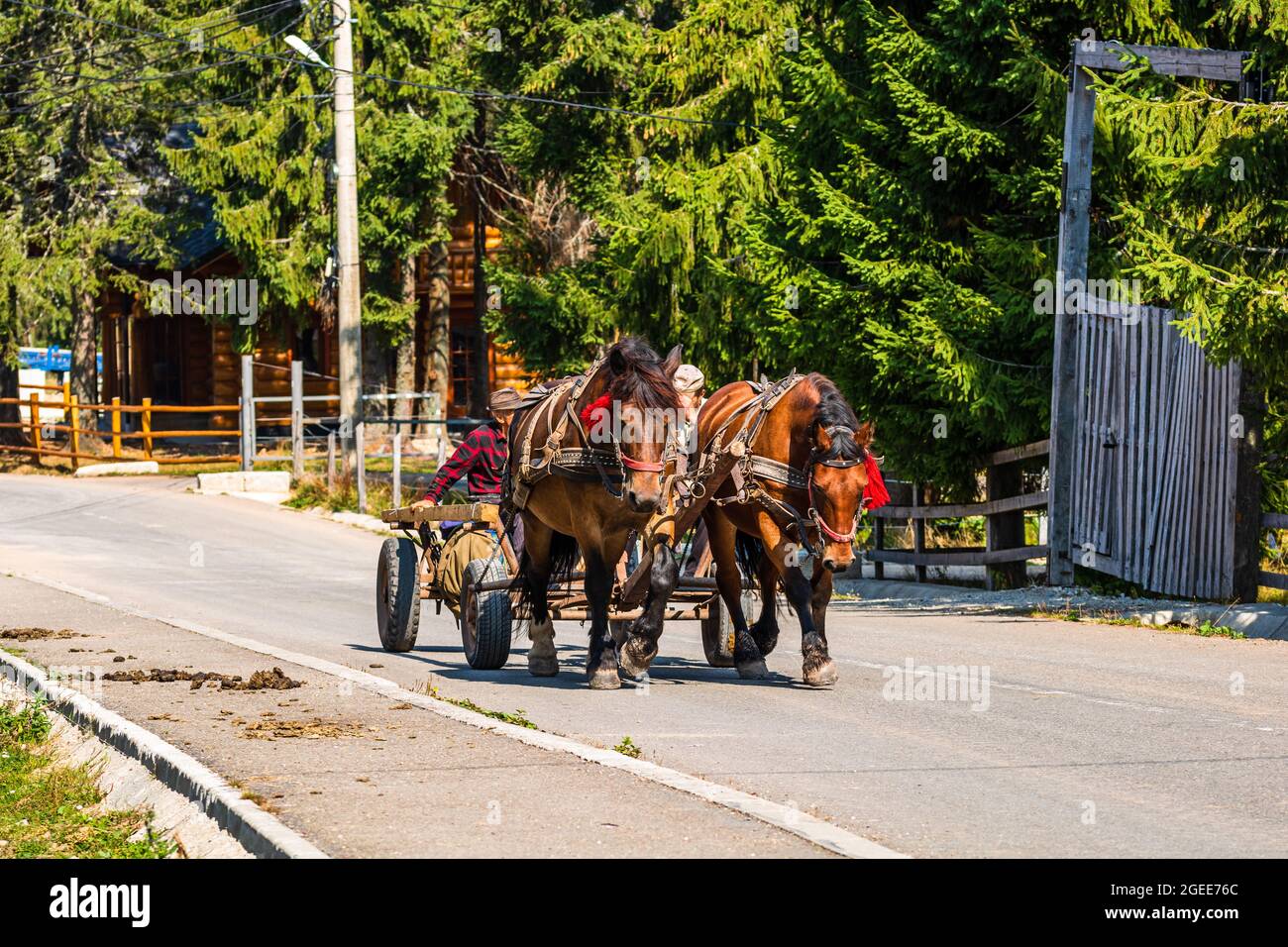 Horse carriage on mountain road in Bihor, Romania, 2021 Stock Photo - Alamy