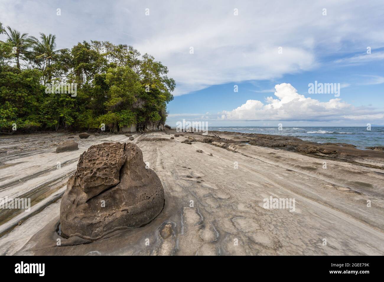 abstract rock shapes on the stony coast of borneo - malaysia Stock ...