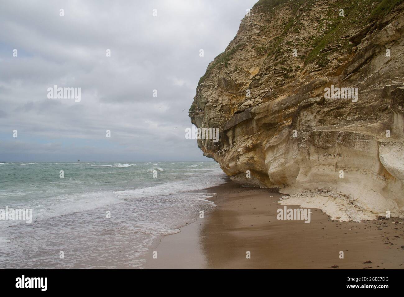 The Bulbjerg, a limestone cliff on the coast of northern Jutland ...