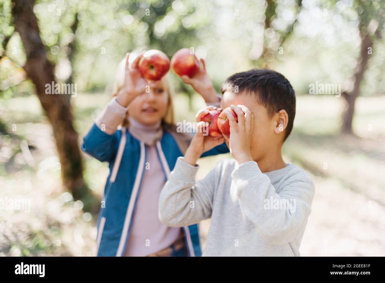 Kids Eating Apples Orchard High Resolution Stock Photography and Images ...