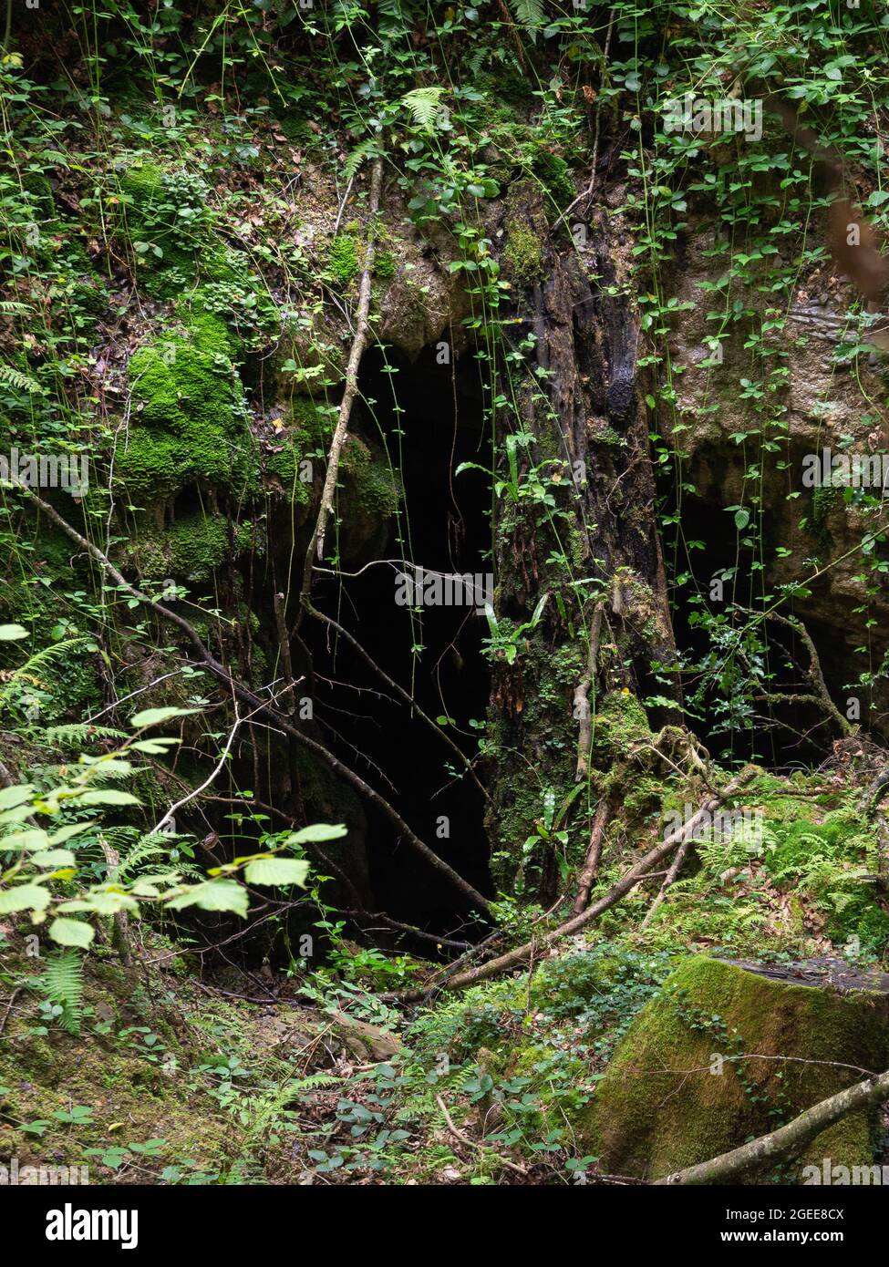 Cavity in the ground hi-res stock photography and images - Alamy