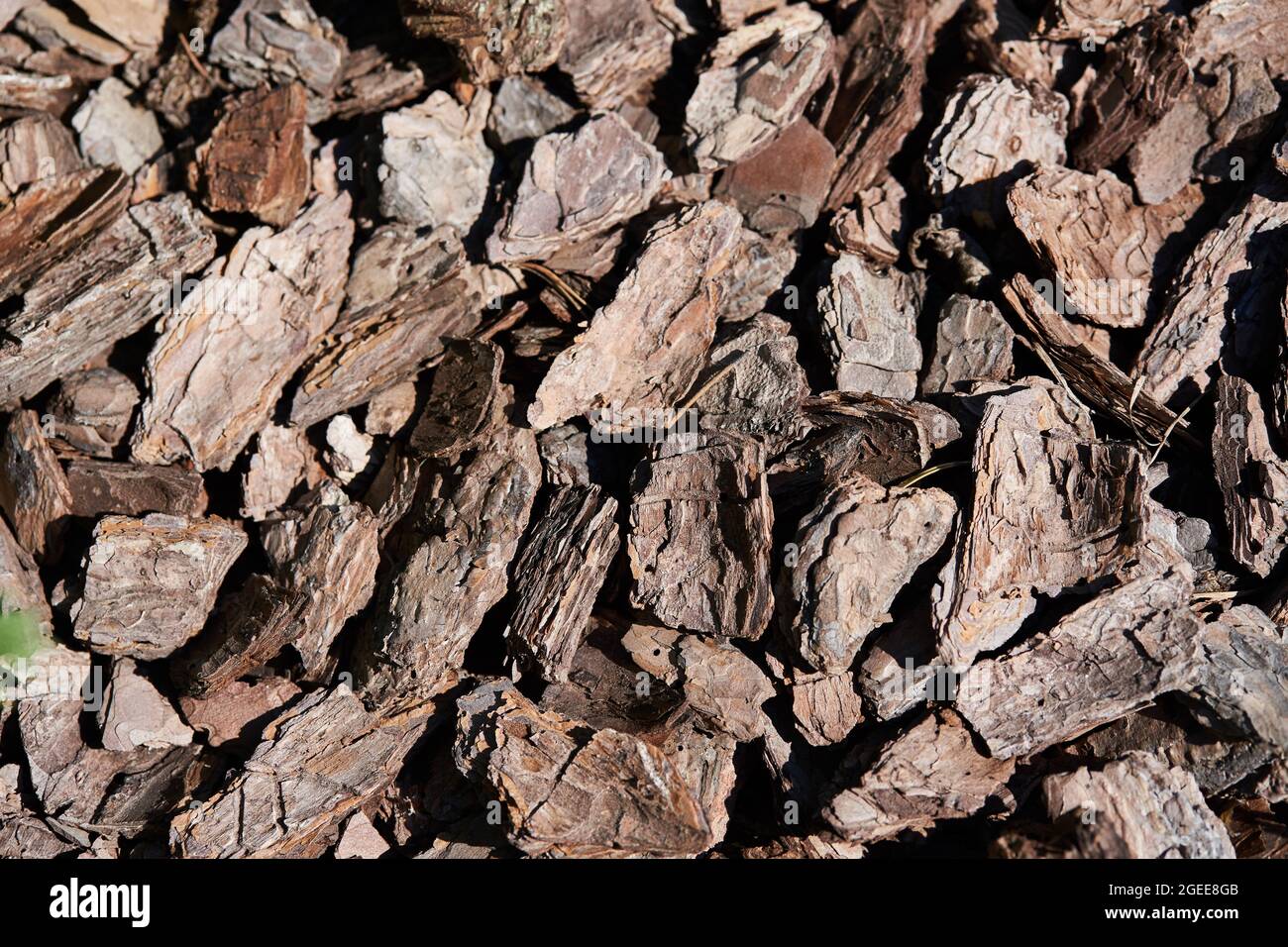 The texture of crushed tree bark on a close-up background. Crushed ...