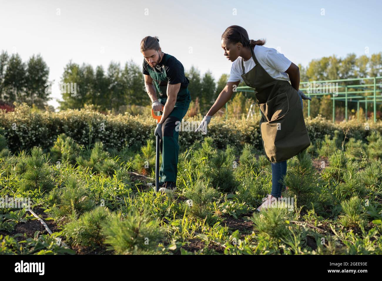 Dig the soil hi-res stock photography and images - Alamy