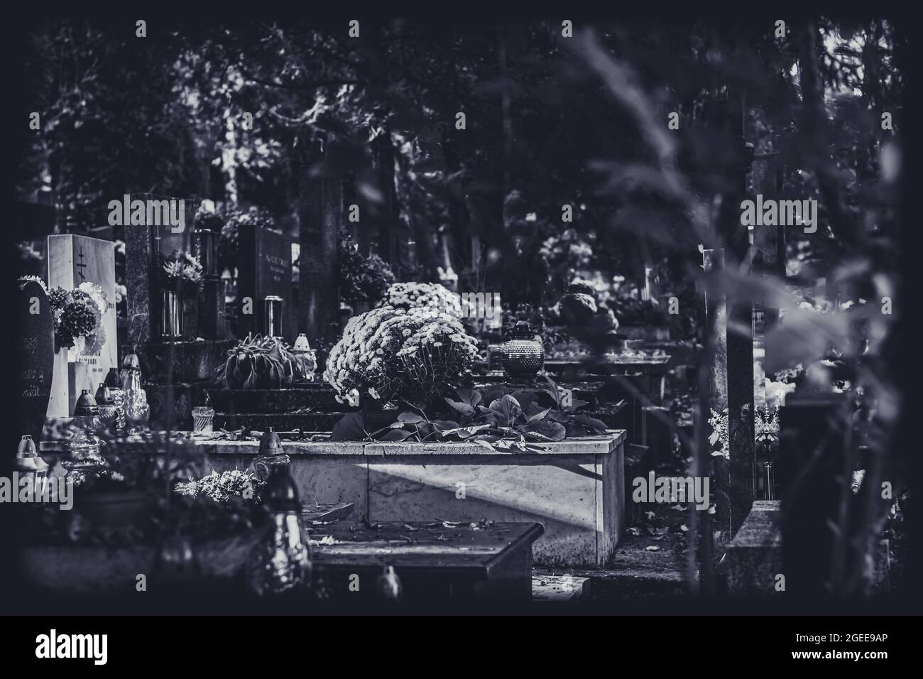 colorful floral decoration on grave in cemetery in autumn time Stock ...