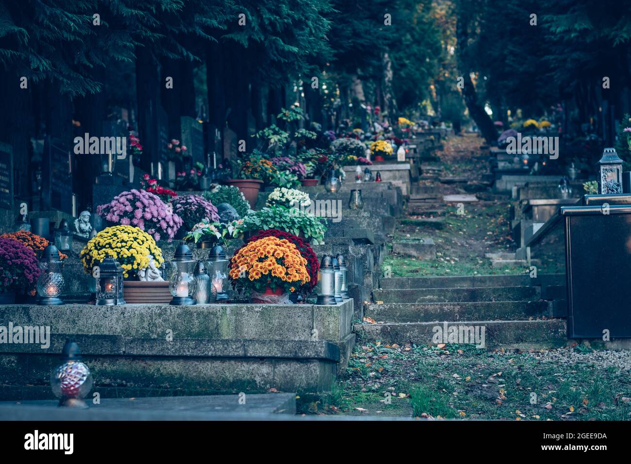 Colorful cemetery nature hi-res stock photography and images - Alamy