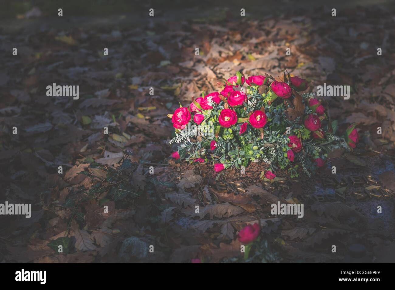 colorful floral decoration on grave in cemetery in autumn time Stock ...