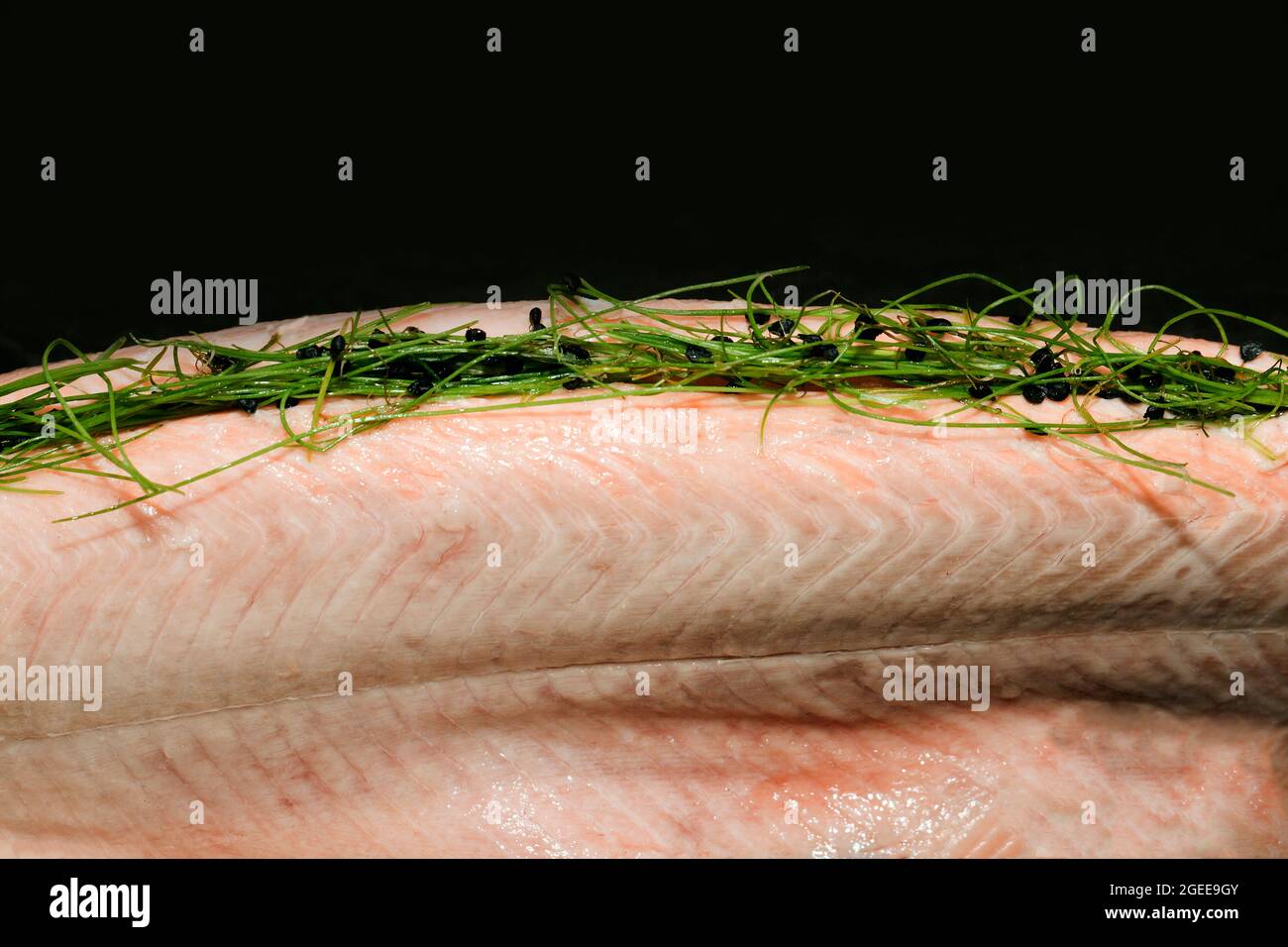 Trout, Istanbul, Turkey Stock Photo - Alamy