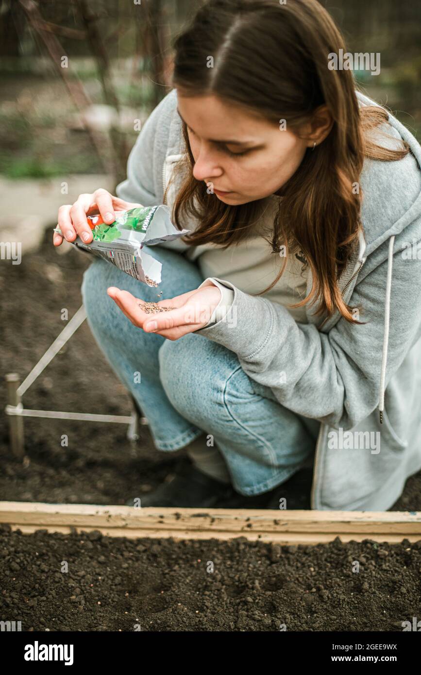 Woman sowing seeds in a vegetable bed Stock Photo - Alamy
