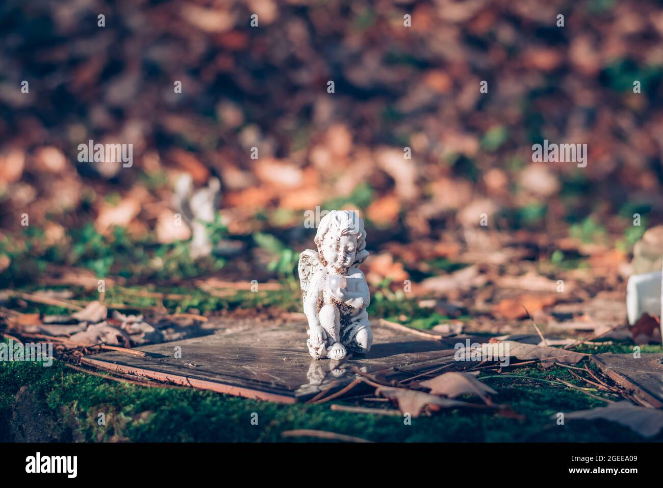 Funeral background hi-res stock photography and images - Alamy