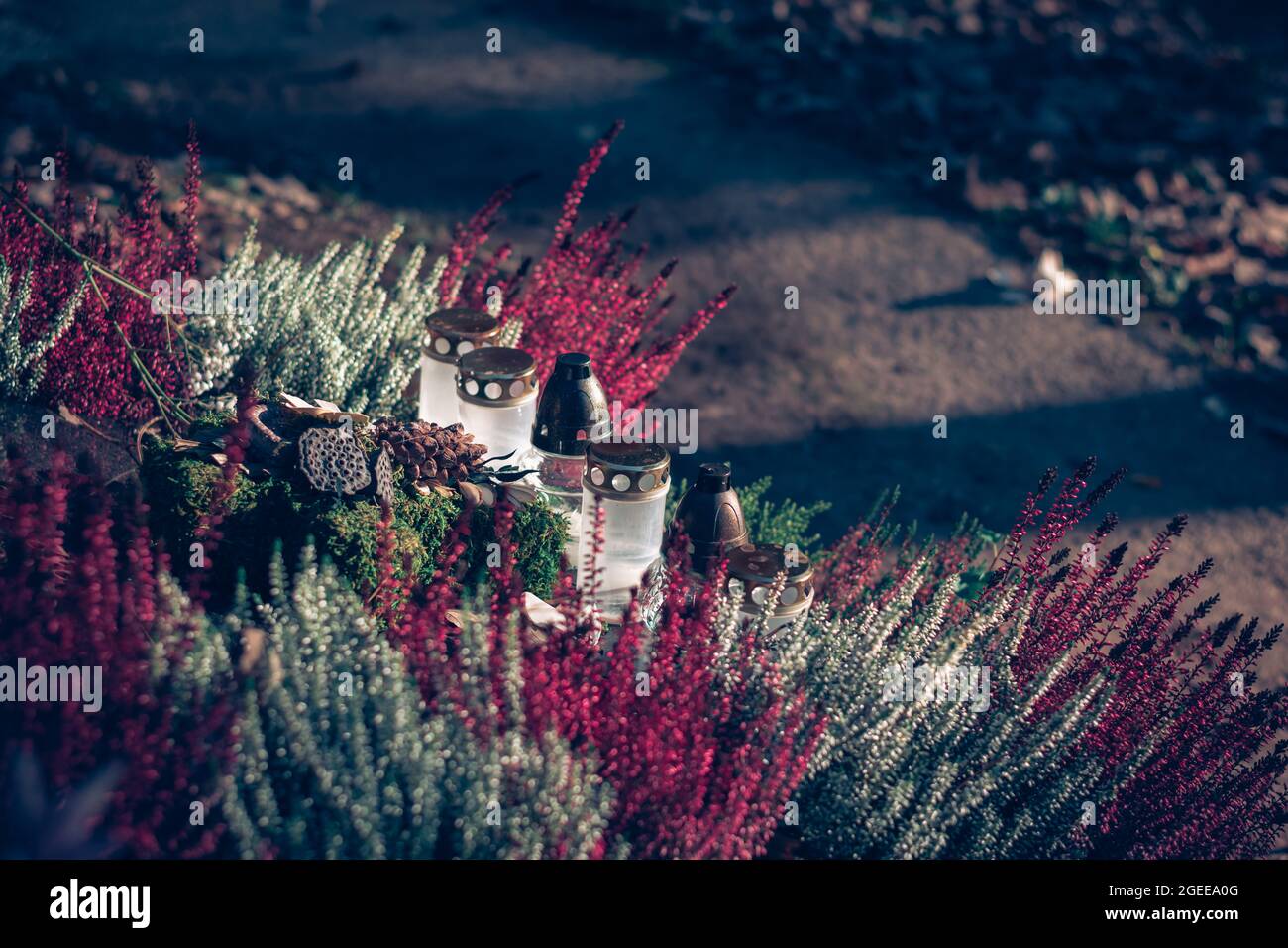 Heather funeral hi-res stock photography and images - Alamy