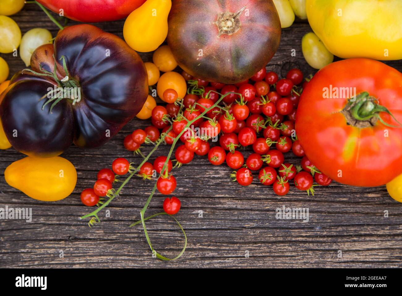 Heirloom tomatoes full of colors and taste Stock Photo - Alamy