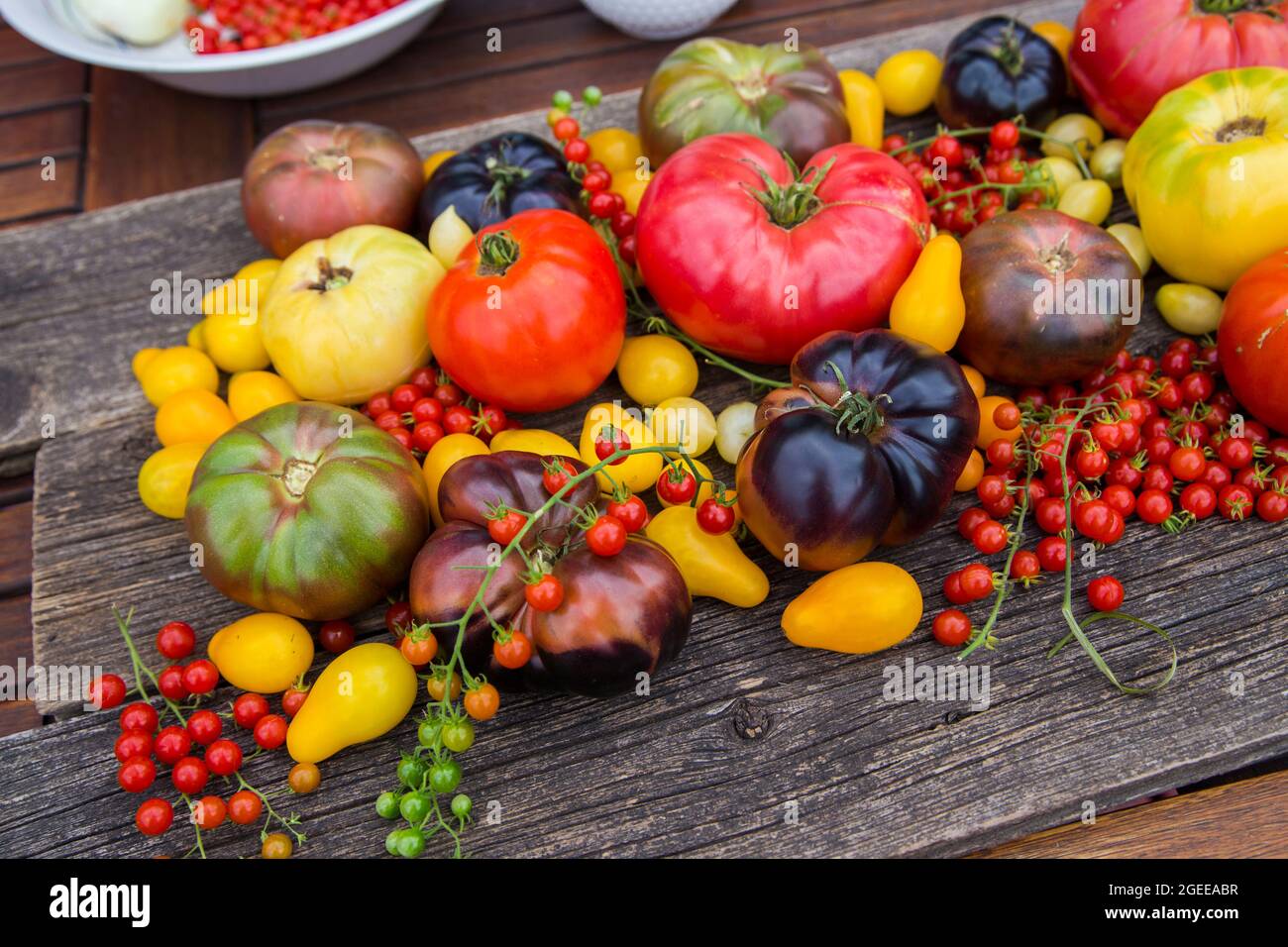 Heirloom tomatoes full of colors and taste Stock Photo - Alamy
